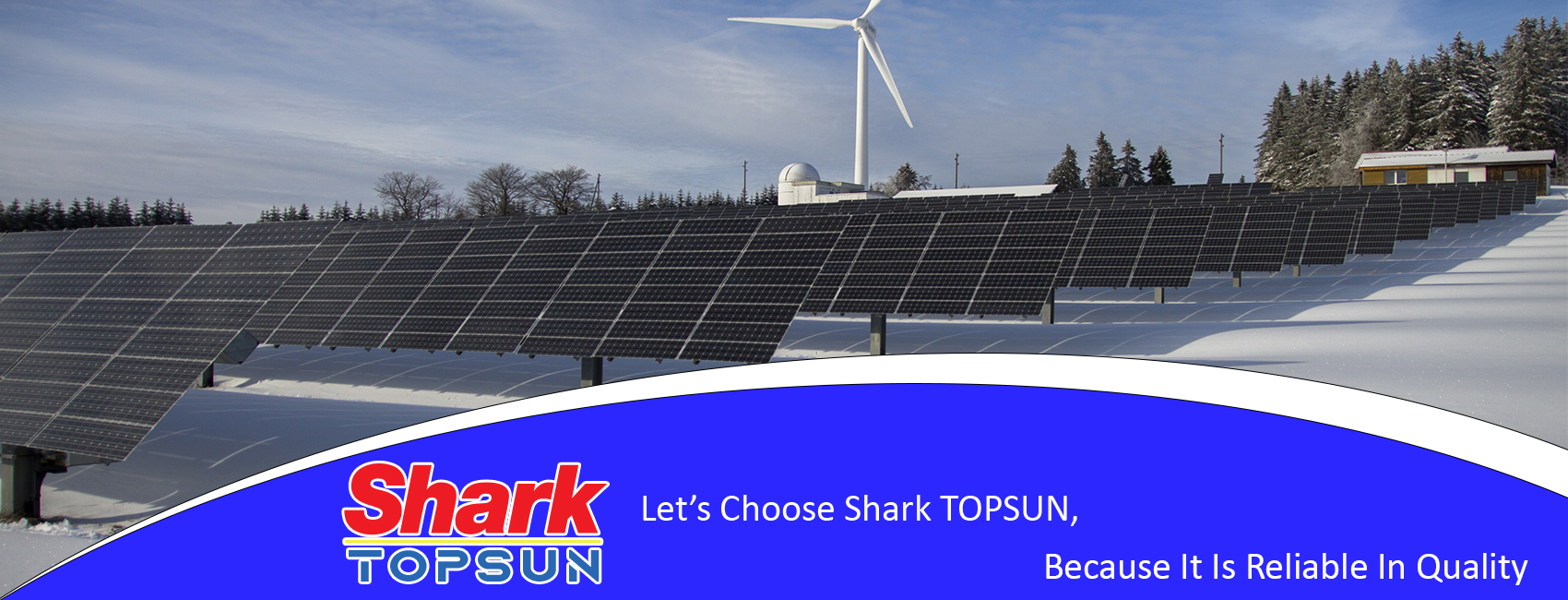 Sharktopsun